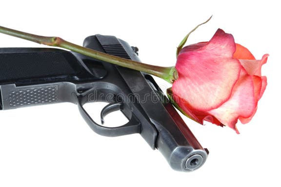 169 Gun Red Rose Stock Photos - Free & Royalty-Free Stock Photos from ...