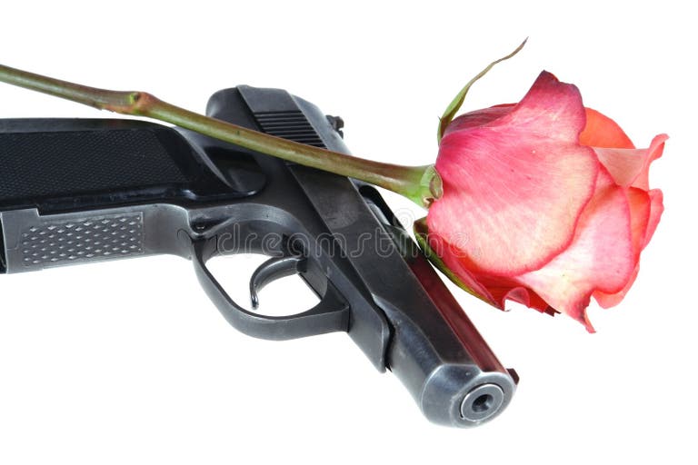 169 Gun Red Rose Stock Photos - Free & Royalty-Free Stock Photos from ...
