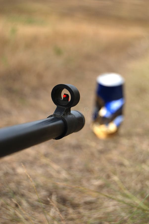 Gun and target stock photo. Image of hunt, outdoor, strike - 12554732