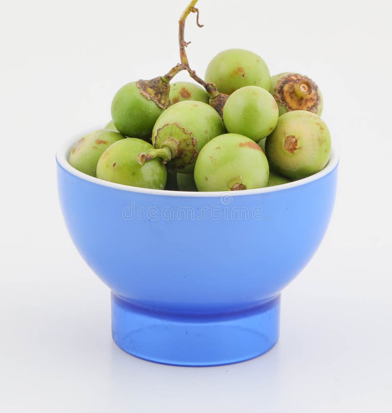 Gunda gumberry foto de archivo. Imagen de cubo, verde - 142690382