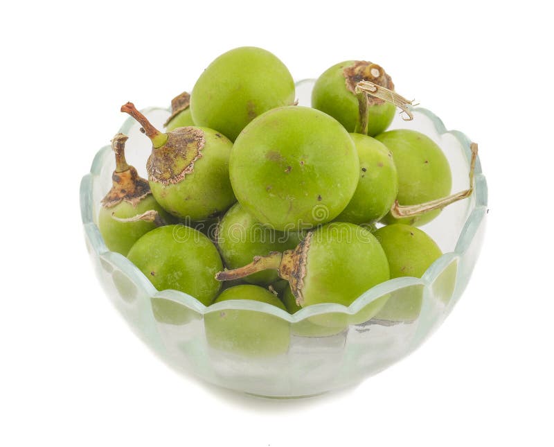 Gunda gumberry stock image. Image of labeda, berry, agriculture - 142690475