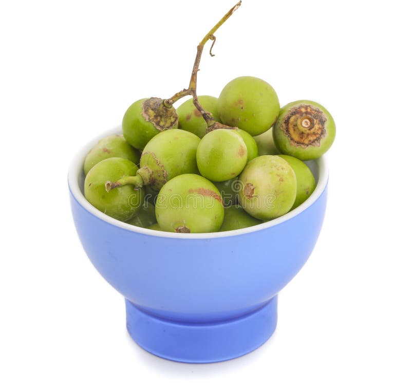 Gunda gumberry stock photo. Image of berries, indian - 142690520