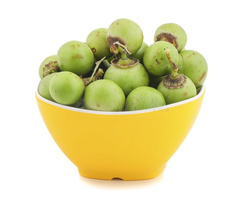 Gunda gumberry stock image. Image of greenhouse, hydroponic - 142690645