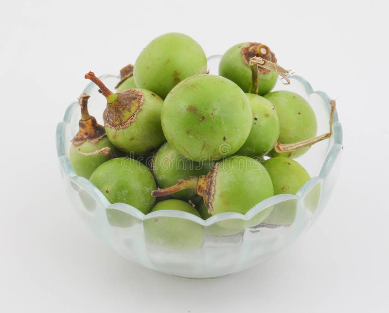 Gunda gumberry stock image. Image of juice, cultivation - 92527037