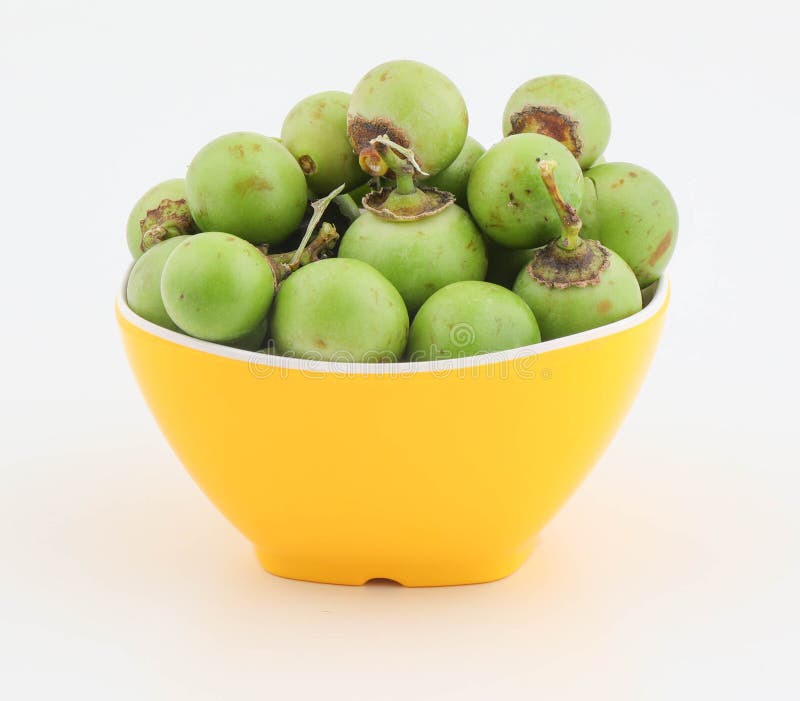 Gunda gumberry stock image. Image of cooking, food, color - 92527233