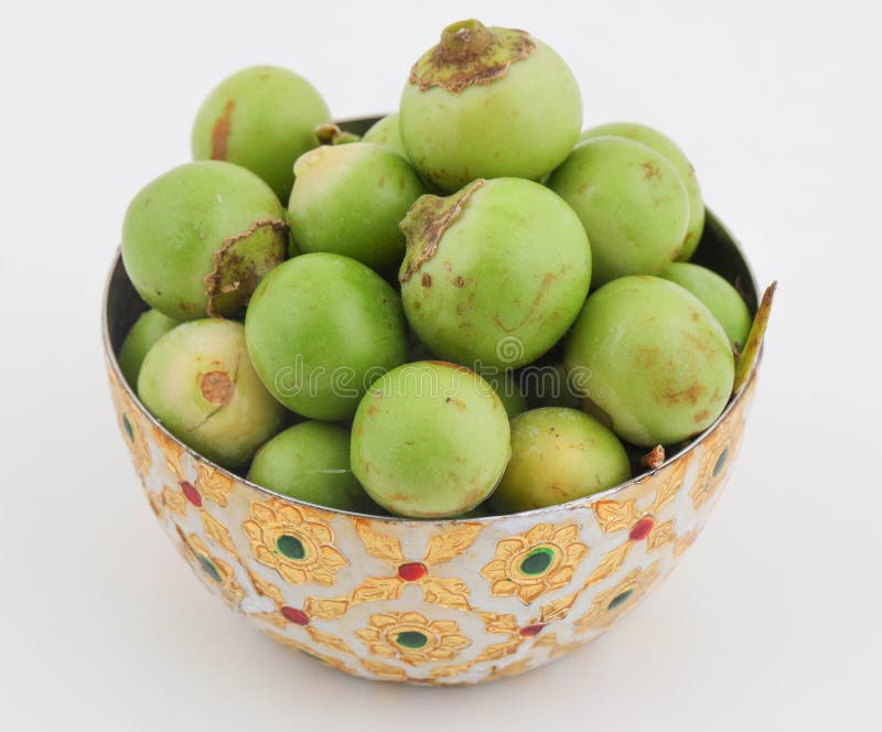 Gunda gumberry stock photo. Image of fresh, berry, dichotoma - 142690442