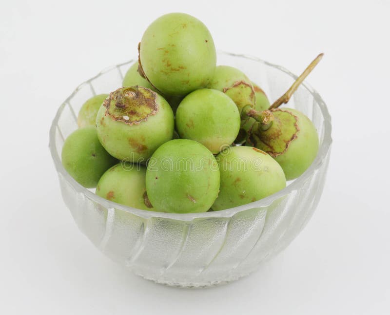 Gunda gumberry stock photo. Image of flavor, fresh, cuisine - 92527404