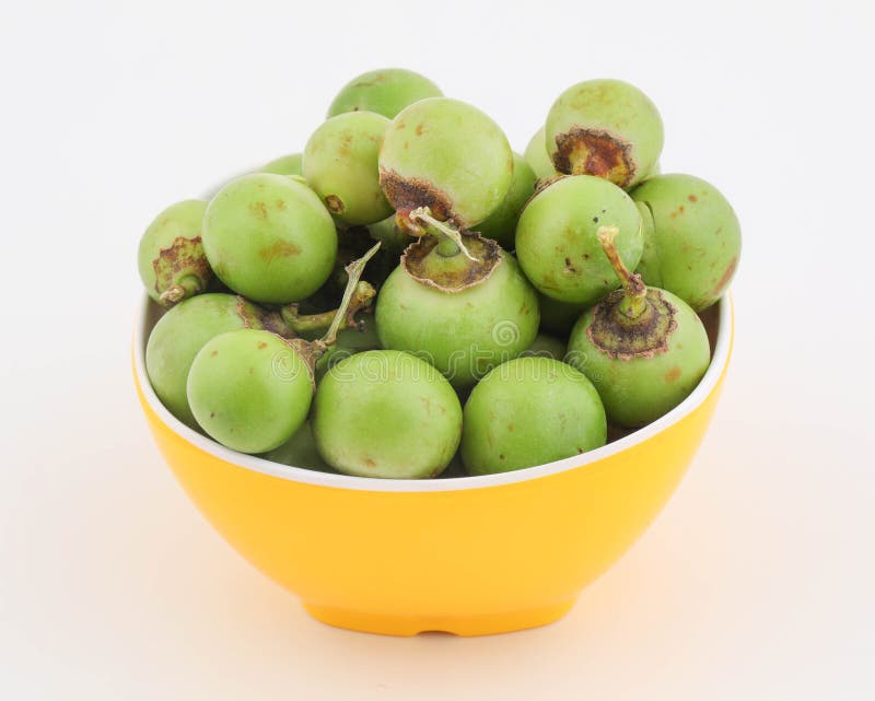 Gunda gumberry stock image. Image of agriculture, greenhouse - 92527447