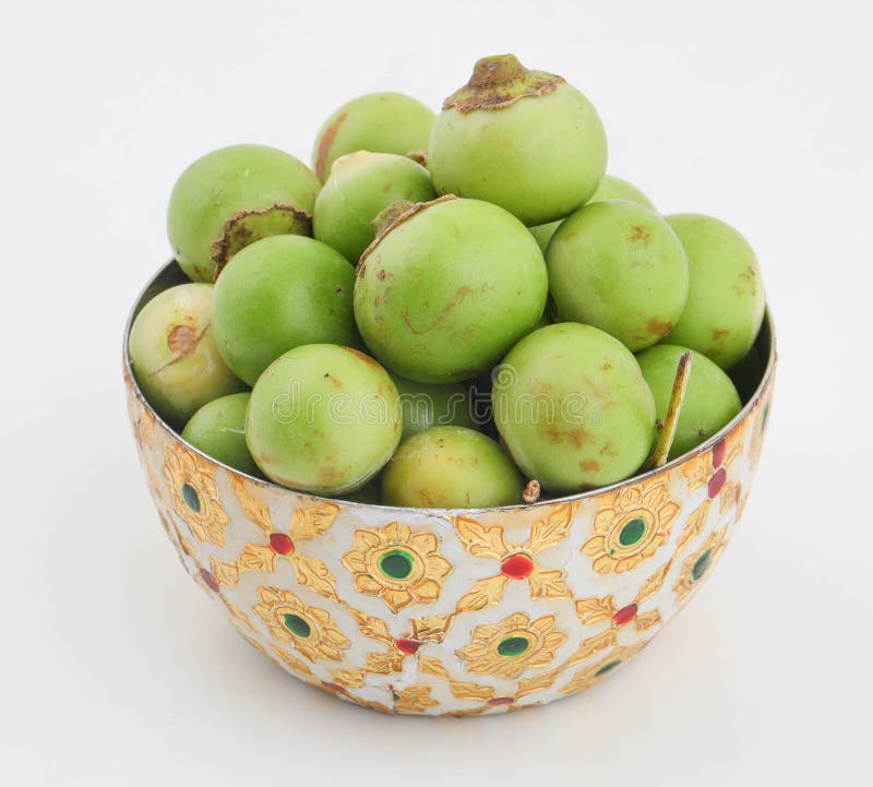 Gunda gumberry stock photo. Image of dichotoma, gunda - 142690440