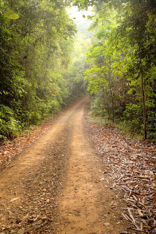 143 Gungle Stock Photos - Free & Royalty-Free Stock Photos from Dreamstime