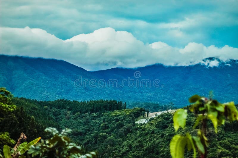 Gunung gede stock image. Image of meadow, coast, plateau - 236258383