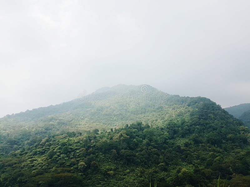 Gunung Gede Pangrango National Parks in the Morning. Stock Photo ...