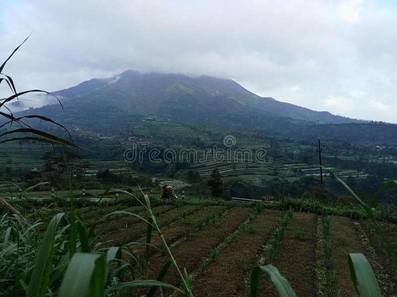 Gunung Lawu stock image. Image of ridge, nature, jungle - 223470587