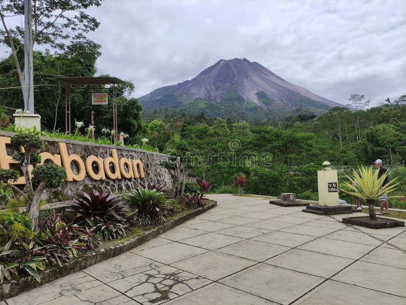 Gunung merapi stock image. Image of garden, flower, gunung - 288556283