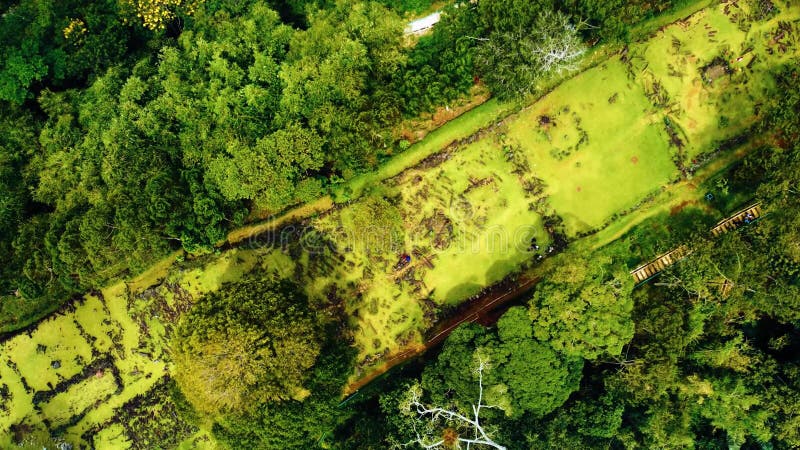 Gunung Padang, Also Known As Pyramid Mountain, Stock Video - Video of ...