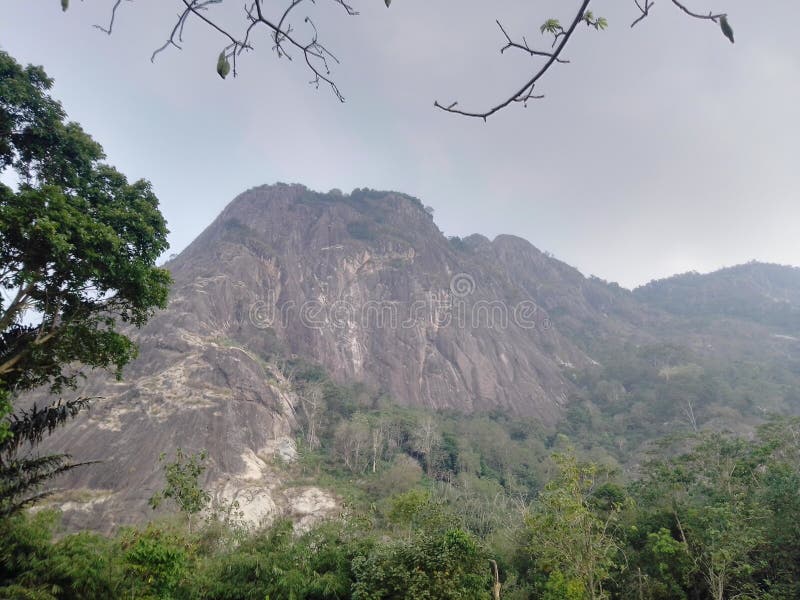 Parang Mountain stock photo. Image of jungle, parang - 202614172