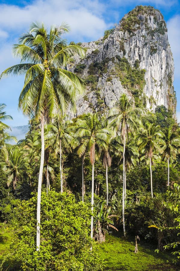 Gunung Reng, Jeli, Kelantan Imagem de Stock - Imagem de famoso, pequeno ...