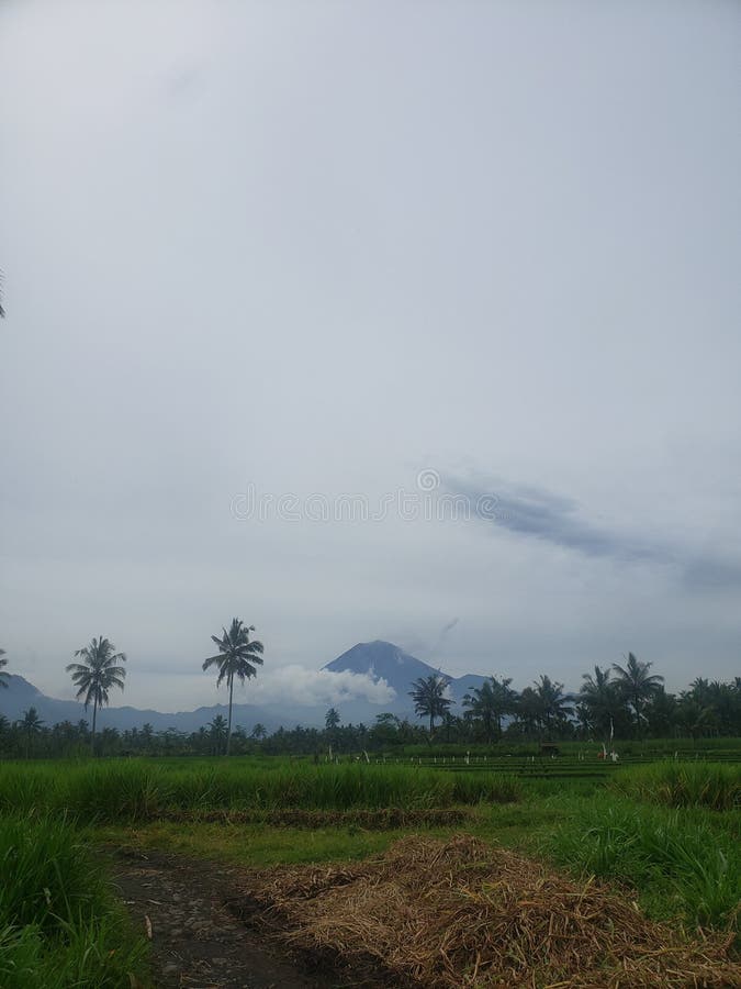 Gunung Semeru indonesia stock image. Image of green - 262353111