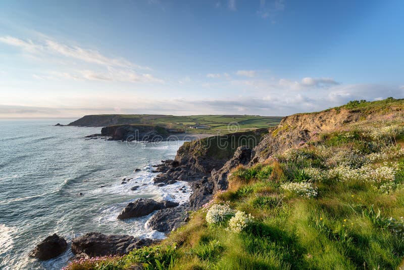 Gunwalloe on the Cornwall Coast Stock Photo - Image of flowers ...