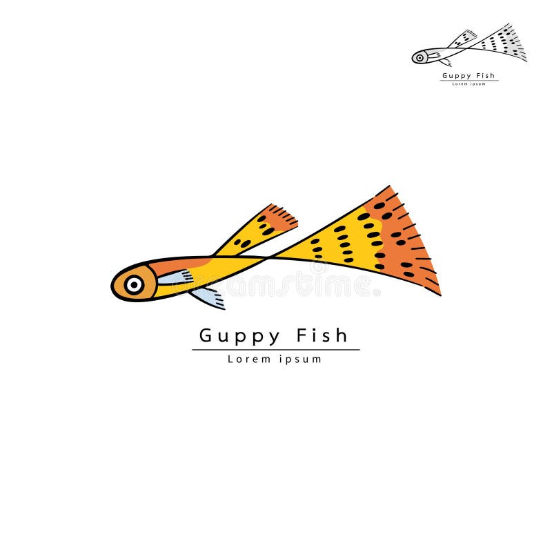 Guppy fish logo design stock vector. Illustration of hobby - 235561303