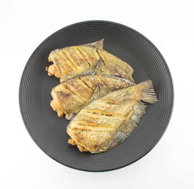 Gurami foto de stock. Imagem de comido, seco, cozinheiro - 41339410