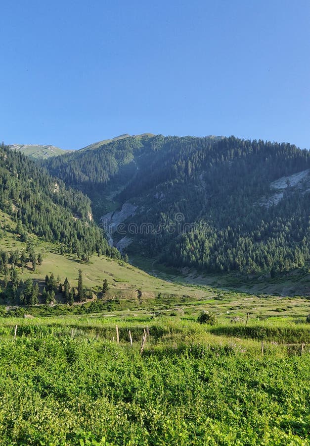 Gurez Valley Kashmir stock image. Image of grassland - 197868103