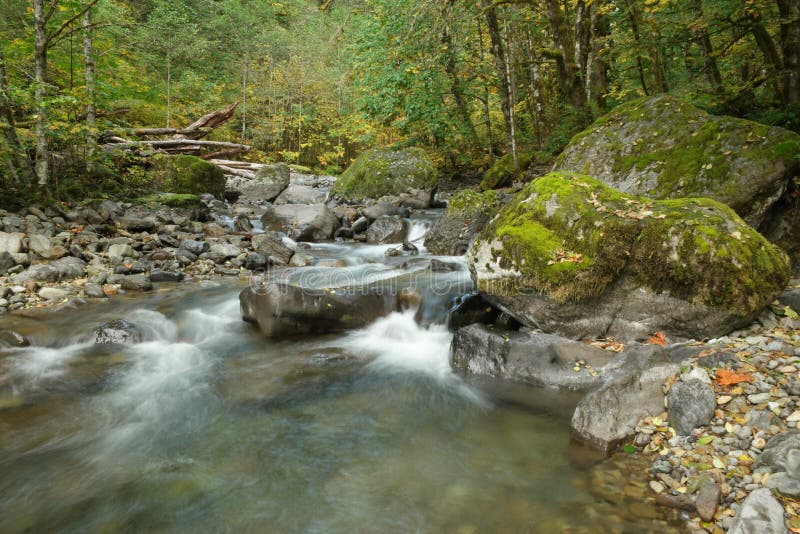 The Gurgling of Small Rapids Stock Image - Image of small, mountain ...
