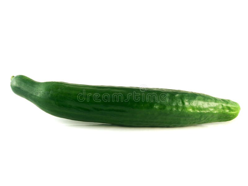 Hel Gurka fotografering för bildbyråer. Bild av perspektiv - 15200179