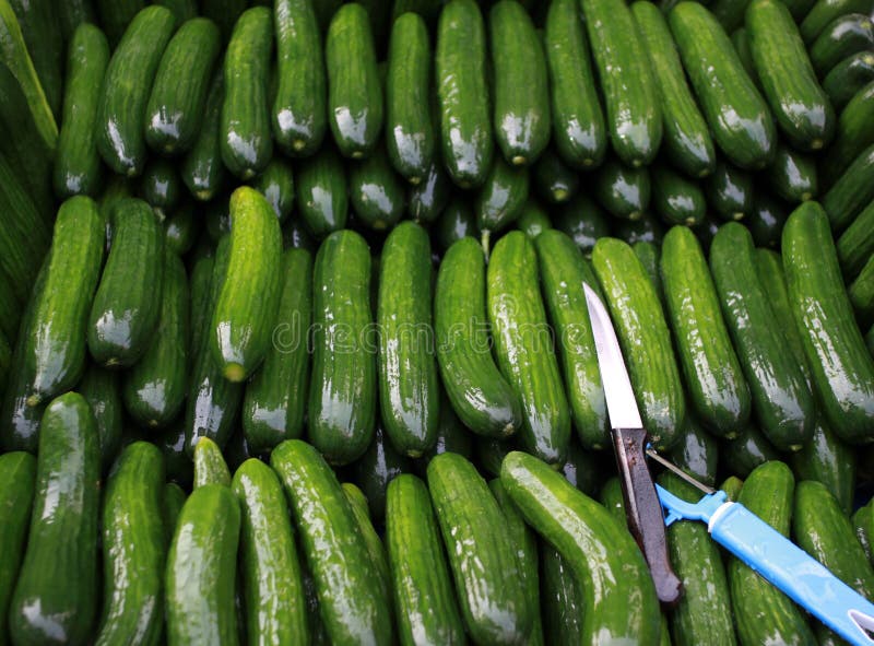 Gurke stockfoto. Bild von gesundheit, nahrung, sonderkommando - 21453296