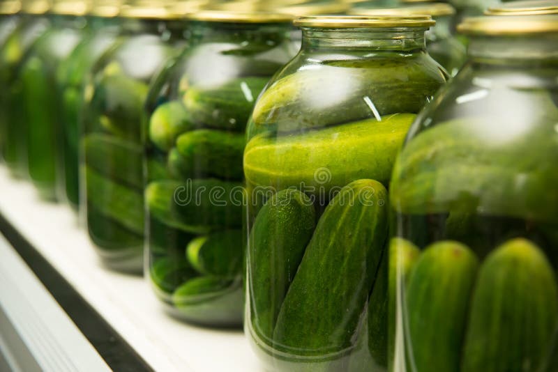Gurtsov Conservation. Fresh Cucumbers in Jars Stock Image - Image of ...