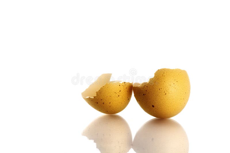 Guscio D'uovo Rotto Isolato Su Sfondo Bianco Immagine Stock - Immagine ...