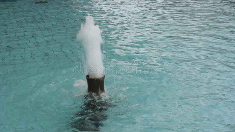 Gushing water stock footage. Video of ornamental, throw - 42492394