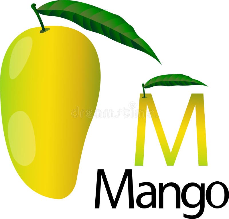 Guss Des Illustrators M Mit Mango Vektor Abbildung - Illustration von karikatur, schriftkegel ...