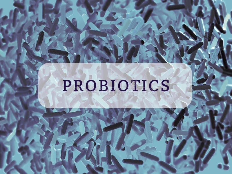 Gut Bacteria , Gut Flora, Microbiome. Bacteria Inside the Small ...