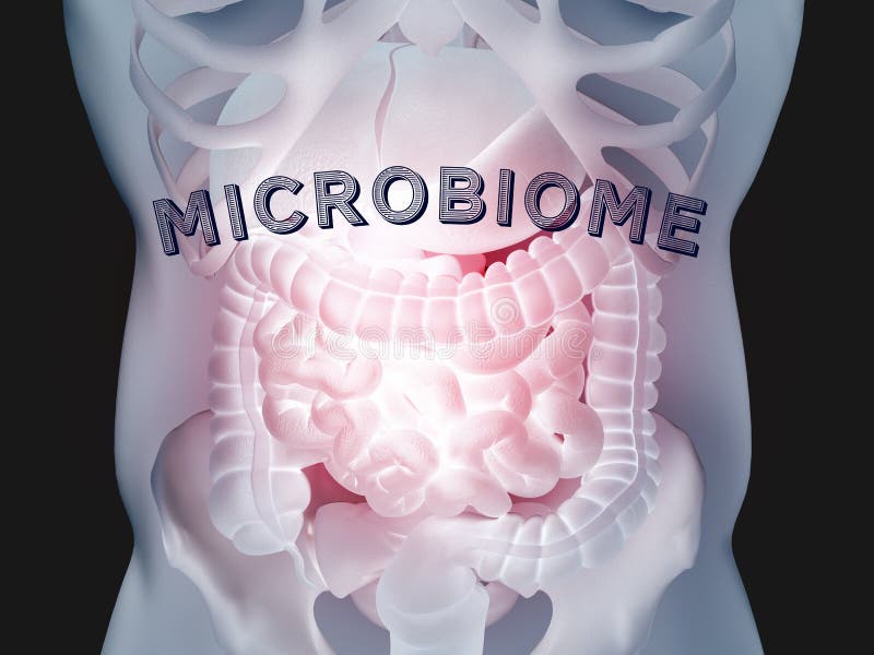 Gut Bacteria, Microbiome. Bacteria Inside the Large Intestine, Concept ...