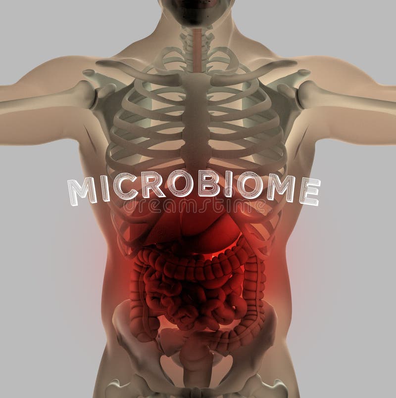 Gut Bacteria, Microbiome. Bacteria Inside the Large Intestine, Concept ...