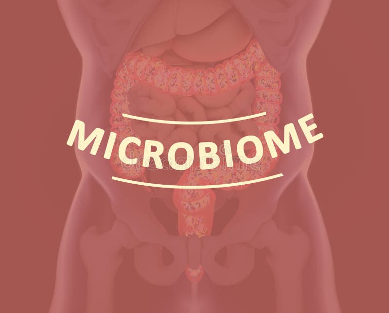 Gut Bacteria, Microbiome. Bacteria Inside the Large Intestine, Concept ...