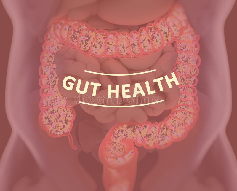 Gut Bacteria, Microbiome. Bacteria Inside the Large Intestine, Concept ...