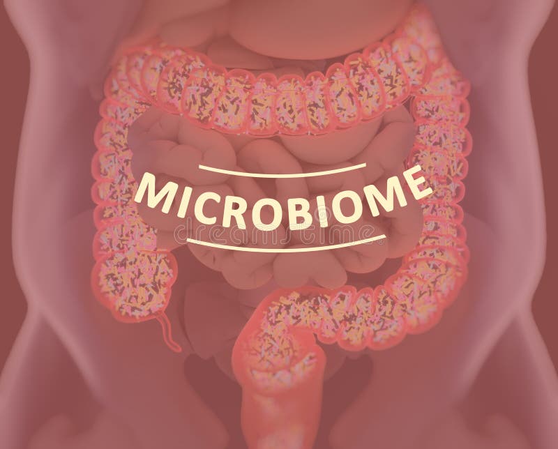 Gut Bacteria, Microbiome. Bacteria Inside the Large Intestine, Concept ...
