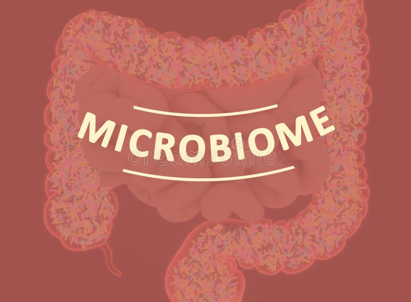 Gut Bacteria, Microbiome. Bacteria Inside the Large Intestine, Concept ...