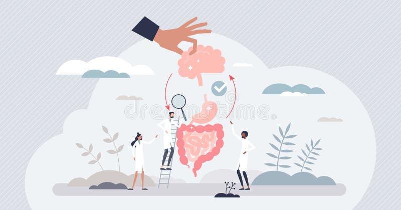 Gut Brain Axis As Intestinal and Nervous System Interaction Outline ... Gut Brain Axis As Intestinal and Nervous System Interaction Outline ...