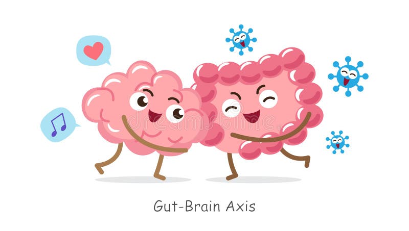Gut Brain Axis Connection Stock Illustrations – 93 Gut Brain Axis ...