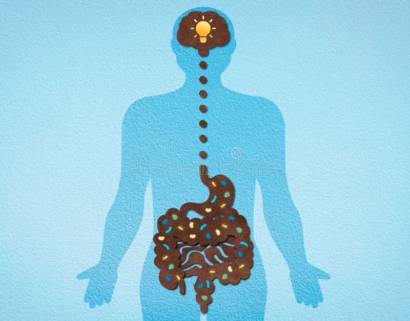 The Gut-Brain Axis - Conceptual Illustration Stock Illustration ...