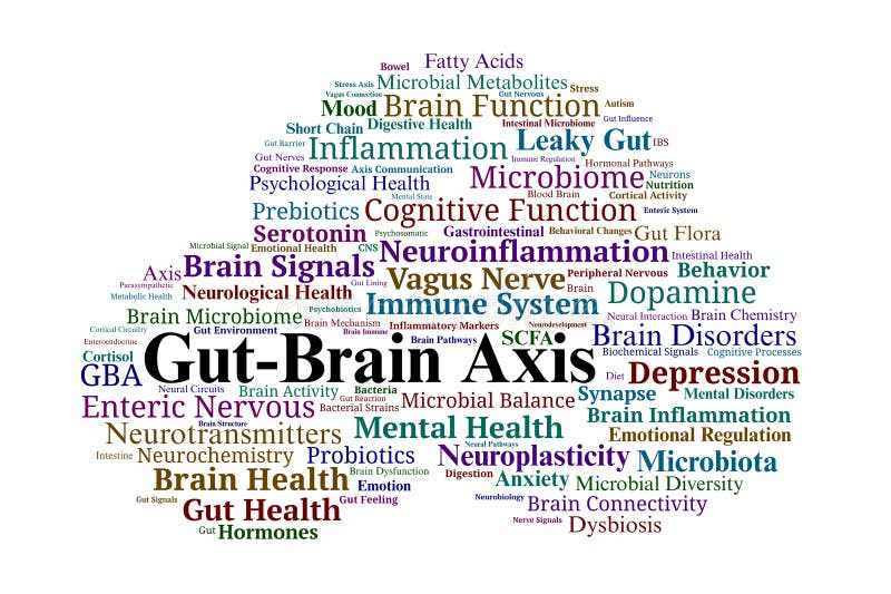 Brain Health Word Cloud Stock Illustrations – 2,041 Brain Health Word Cloud Stock Illustrations ...
