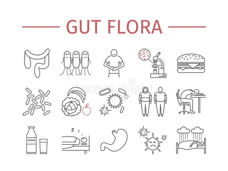 Intestinal Flora Gut Health Vector Concept with Bacteria and Probiotics ...