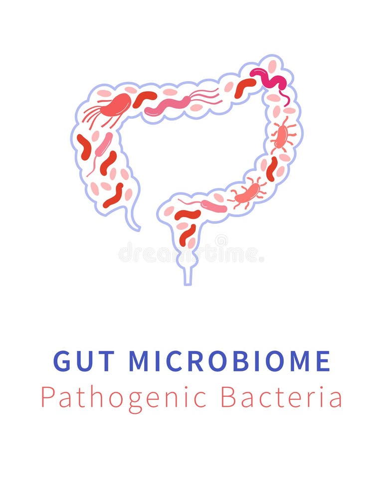 Pathogenic Bacteria Stock Illustrations – 15,188 Pathogenic Bacteria ...