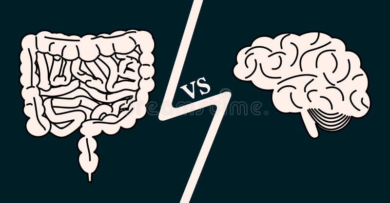 Gut versus brain concept stock vector. Illustration of bacillus - 89566361