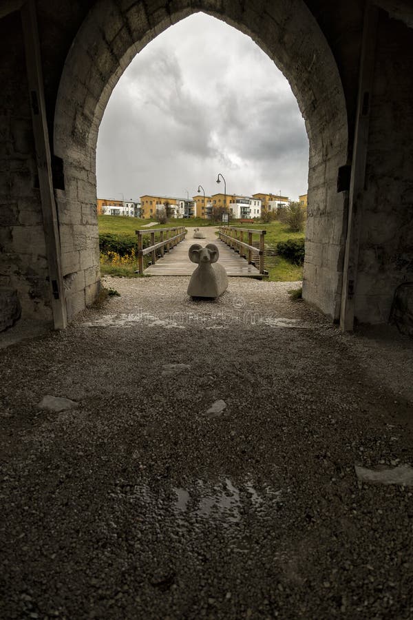 Gute Sheep Jersey Barrier stock photo. Image of wooden - 80701848