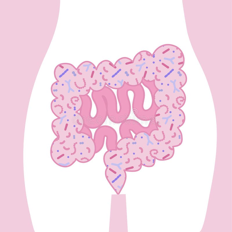 Guts with Microbiome in the Human Body. Intestines on the Background of ...