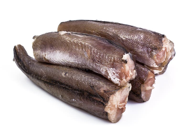 Gutted carcasses of fish stock image. Image of dish, eviscerated - 84314849